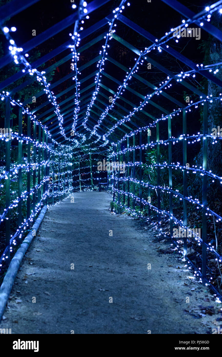 Illuminated path hi-res stock photography and images - Alamy