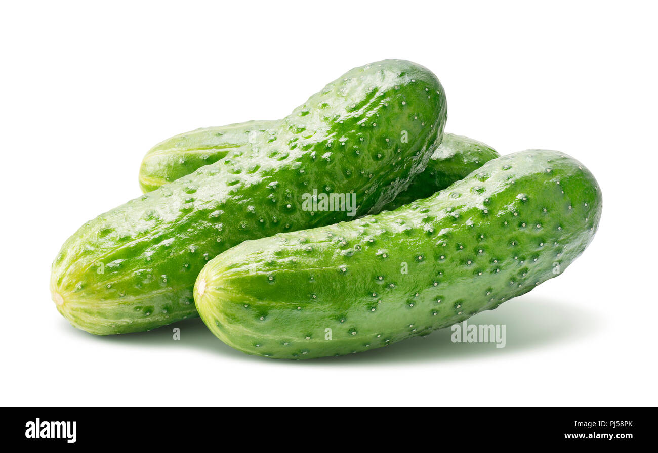 Middle size hi-res stock photography and images - Alamy