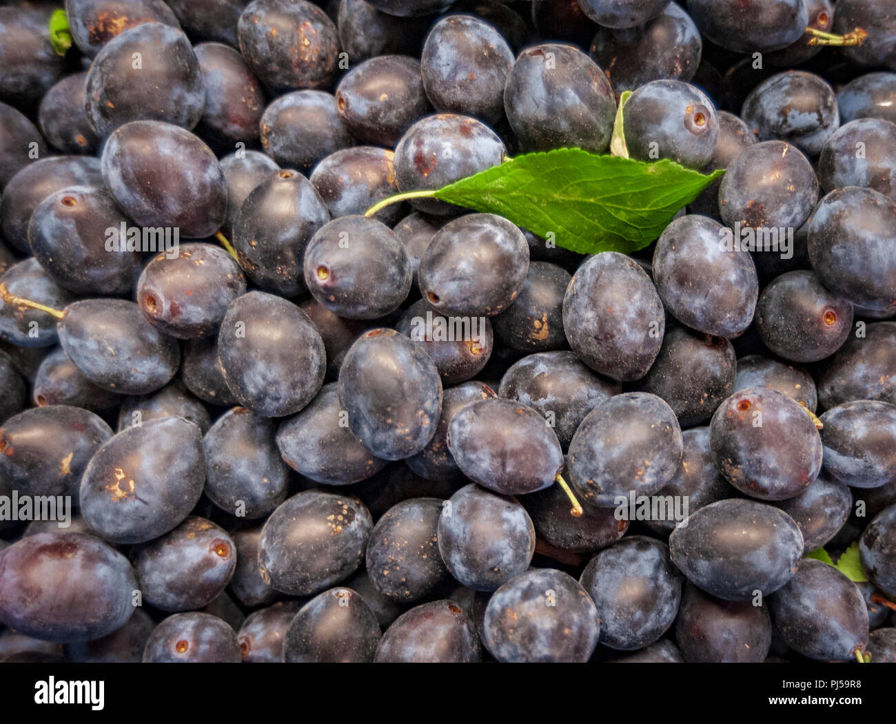 Whole damsons hi-res stock photography and images - Alamy