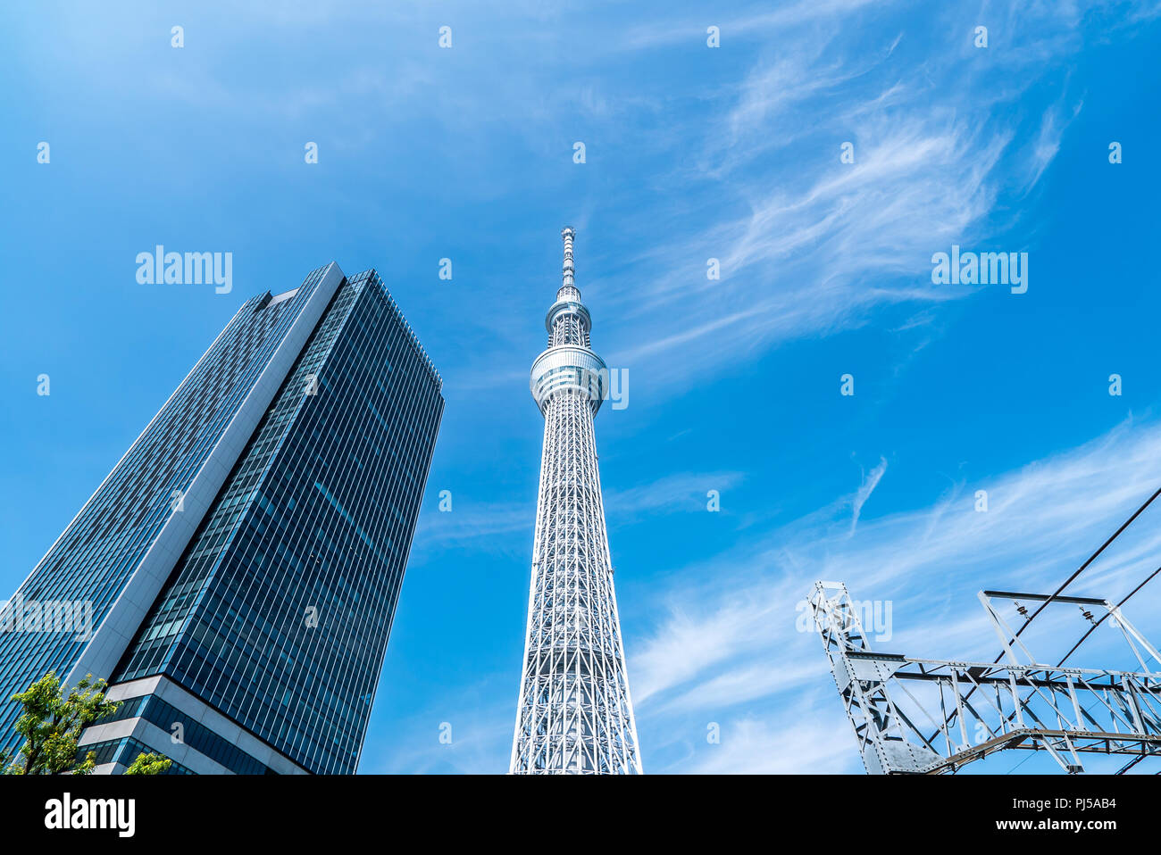 TOKYO, JAPAN - June 22, 2018: Tokyo Sky Tree and blue sky. Tokyo Sky ...