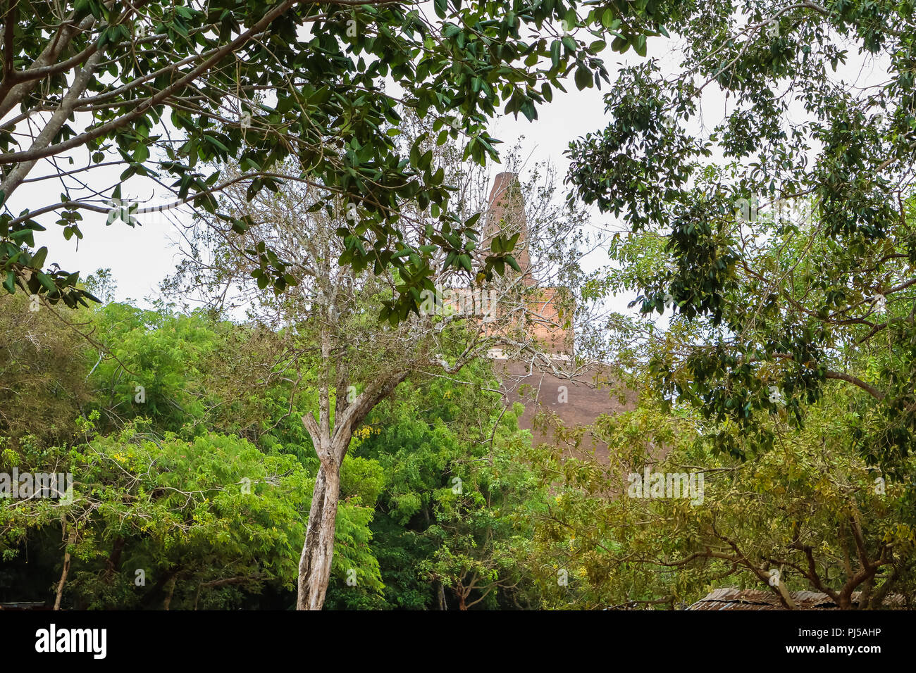 View of Abhayagiri Temple Stock Photo - Alamy