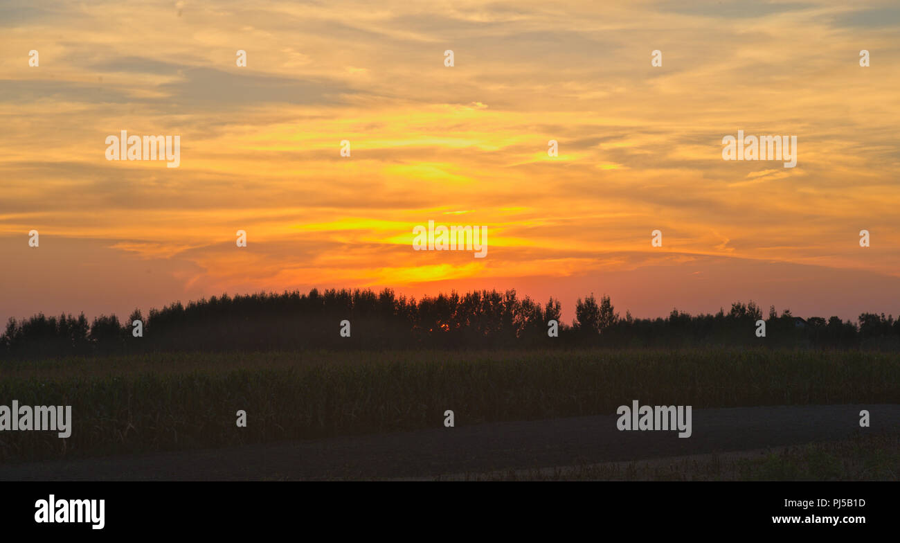 Sundown corn field hi-res stock photography and images - Alamy