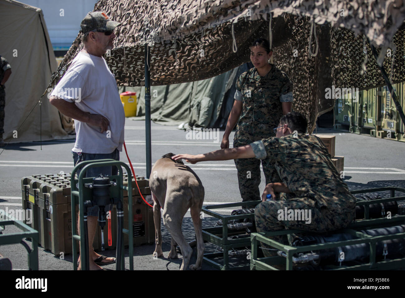 Los angeles police department vehicle hi-res stock photography and ...