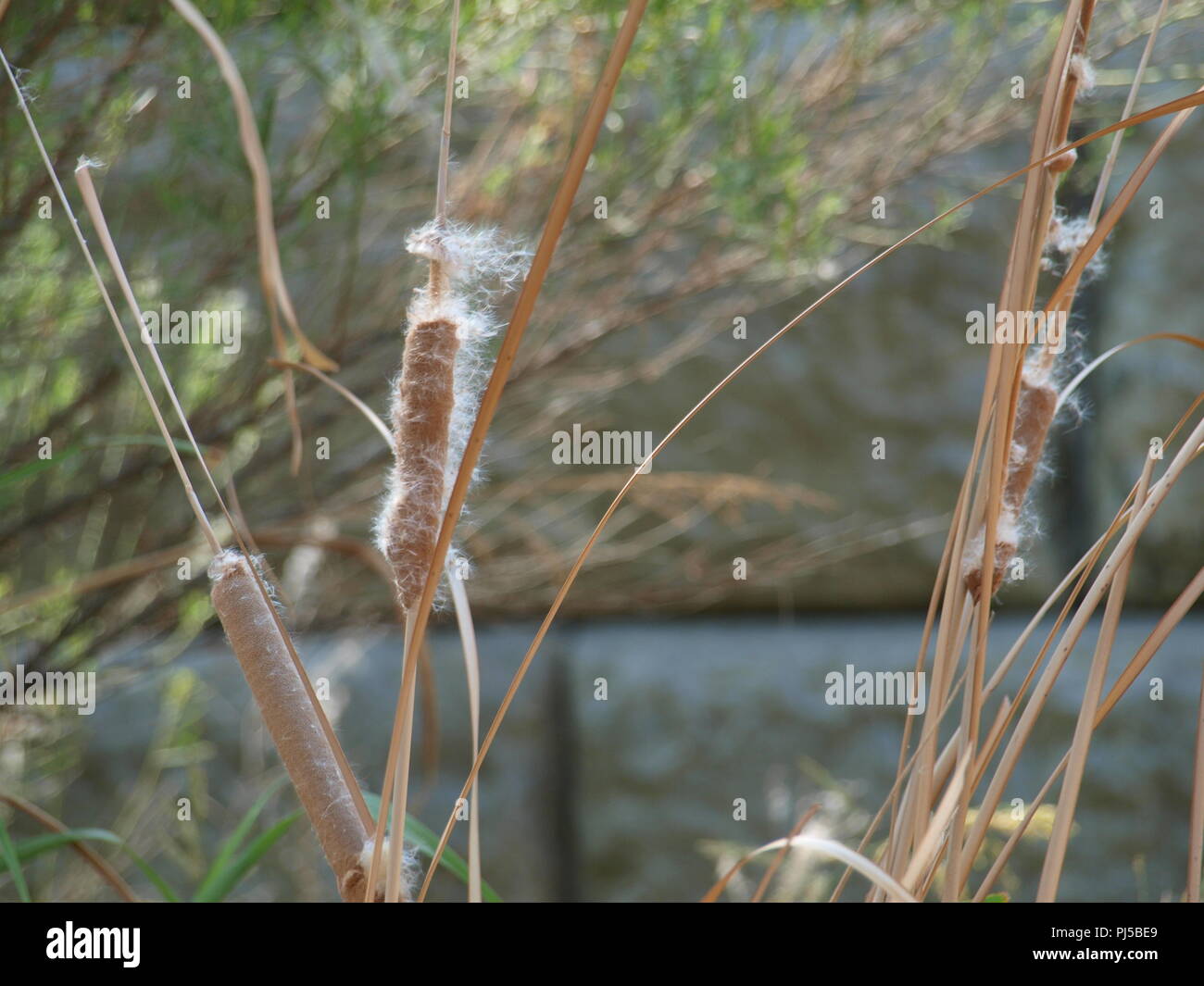 Active loading sign hi-res stock photography and images - Alamy