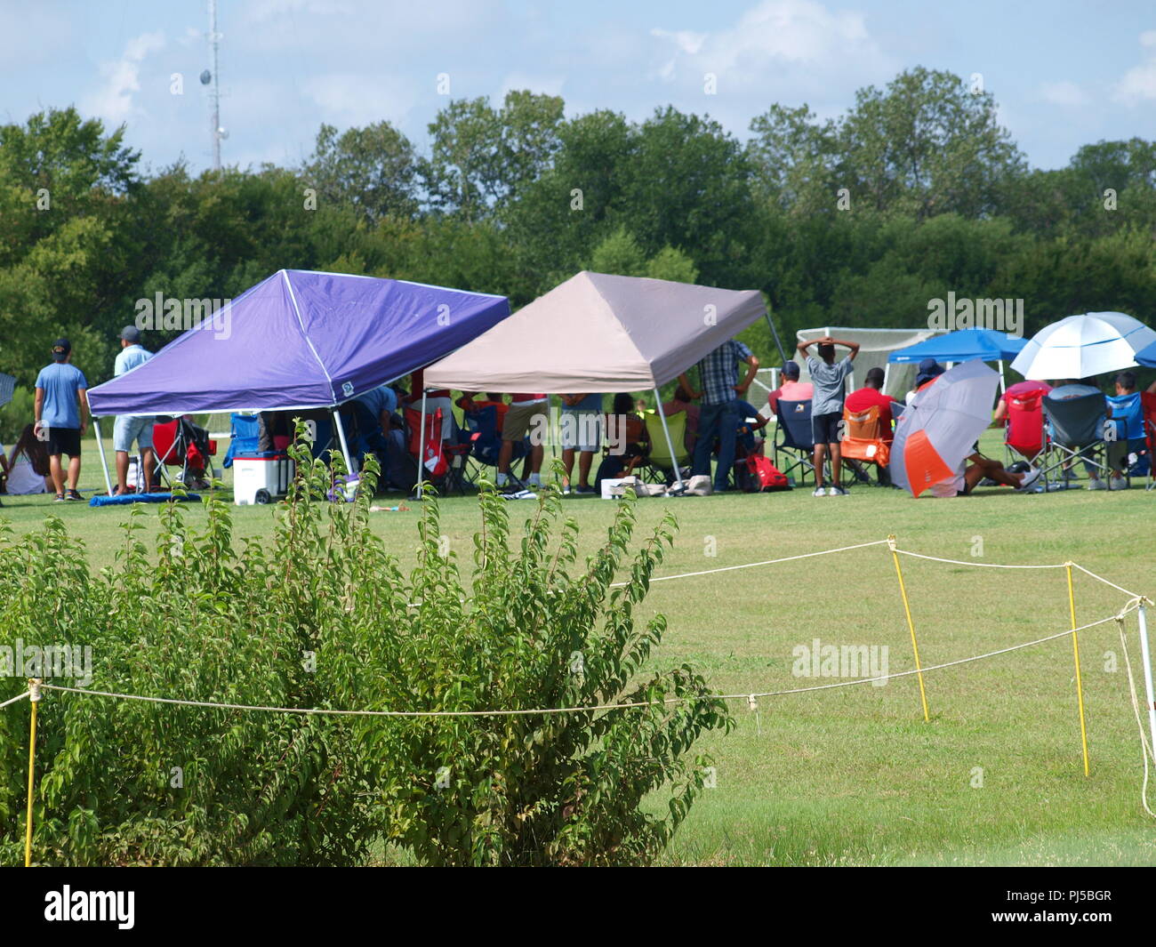 Signs That Talk,Walk,Wave,Roll,Quack and Sing Stock Photo - Alamy