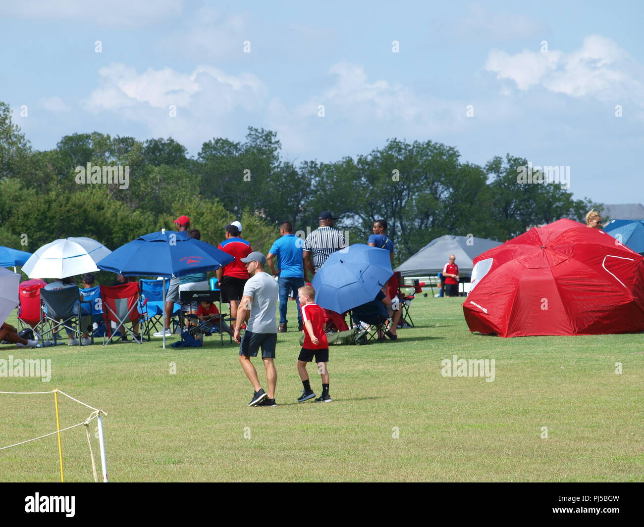 Signs That Talk,Walk,Wave,Roll,Quack and Sing Stock Photo - Alamy