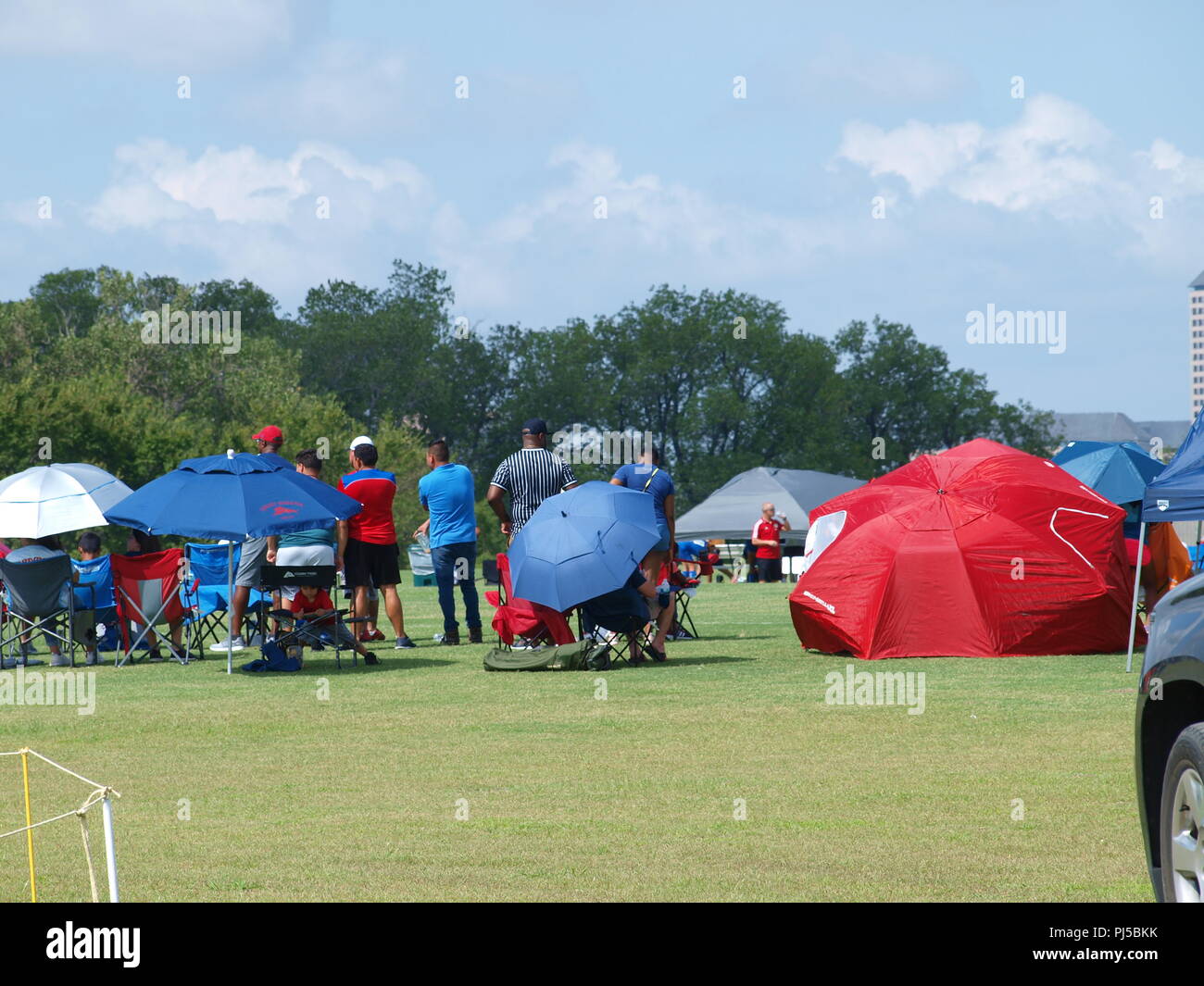 Signs That Talk,Walk,Wave,Roll,Quack and Sing Stock Photo - Alamy