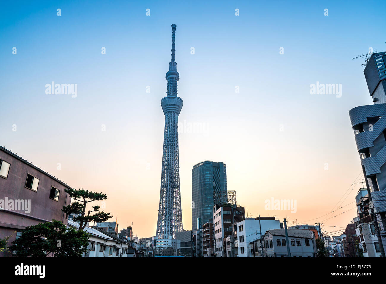 TOKYO, JAPAN - June 22, 2018: Tokyo Sky Tree, sunset and blue sky ...