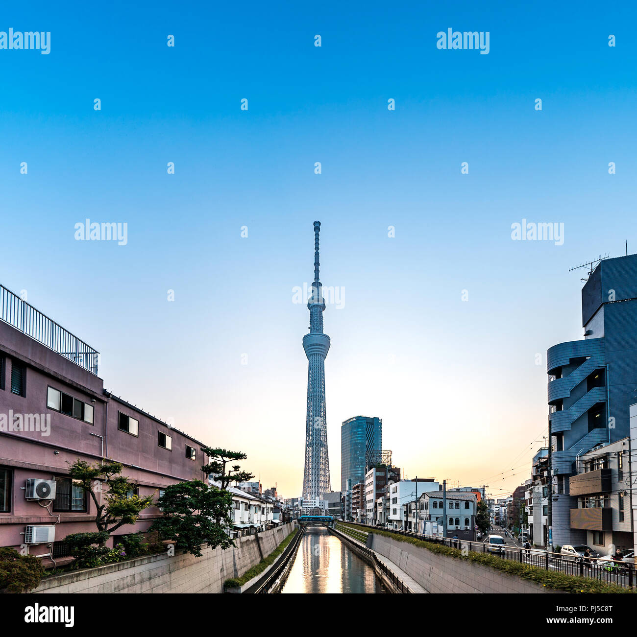 TOKYO, JAPAN - June 22, 2018: Tokyo Sky Tree, sunset and blue sky ...