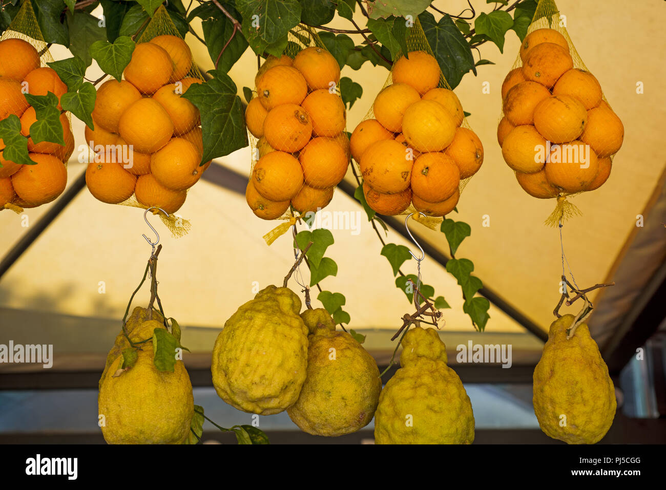 Summer fruits in box. Sunny summer day. Healthy food photo Stock Photo ...