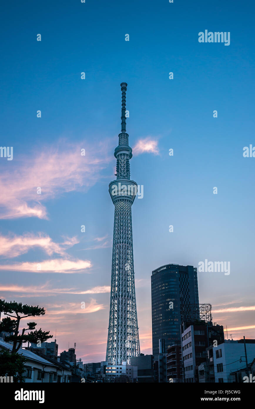 TOKYO, JAPAN - June 22, 2018: Tokyo Sky Tree, sunset and blue sky ...