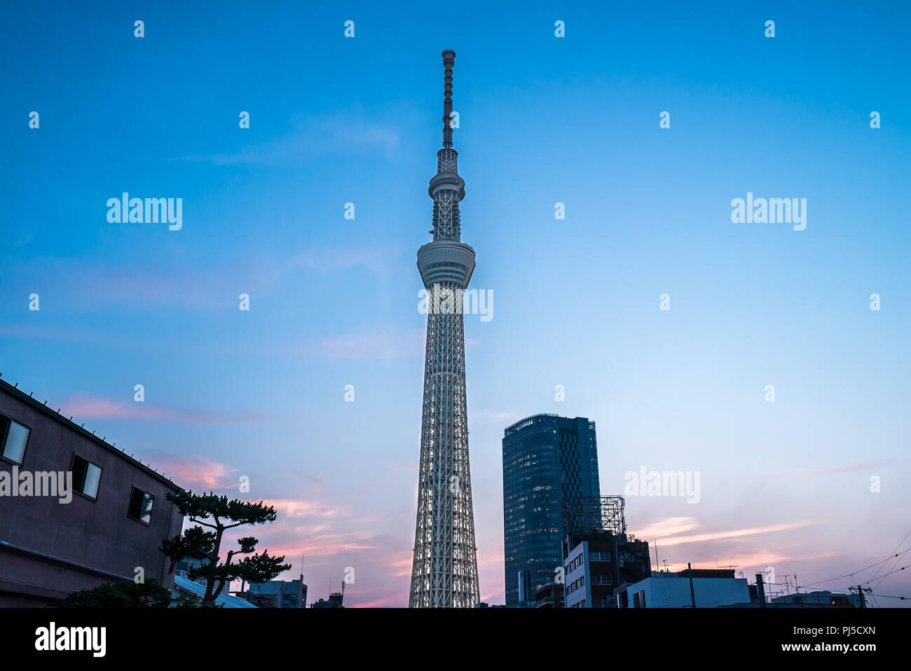 TOKYO, JAPAN - June 22, 2018: Tokyo Sky Tree, sunset and blue sky ...