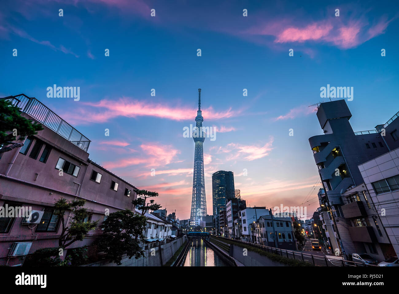 TOKYO, JAPAN - June 22, 2018: Tokyo Sky Tree, sunset and blue sky ...