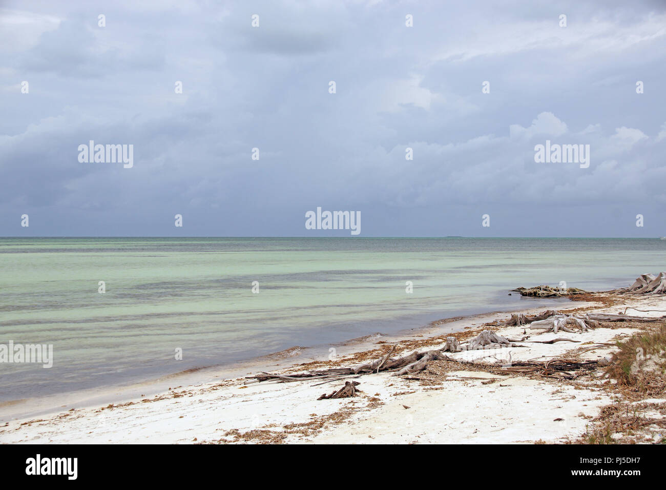 Mexican landscape mexico hi-res stock photography and images - Alamy