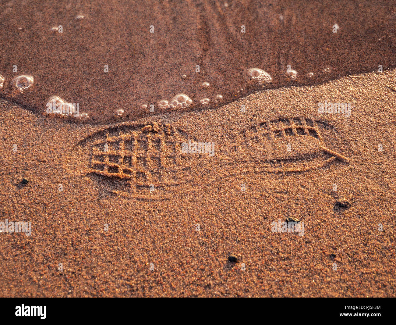 Shoe Print In Dirt