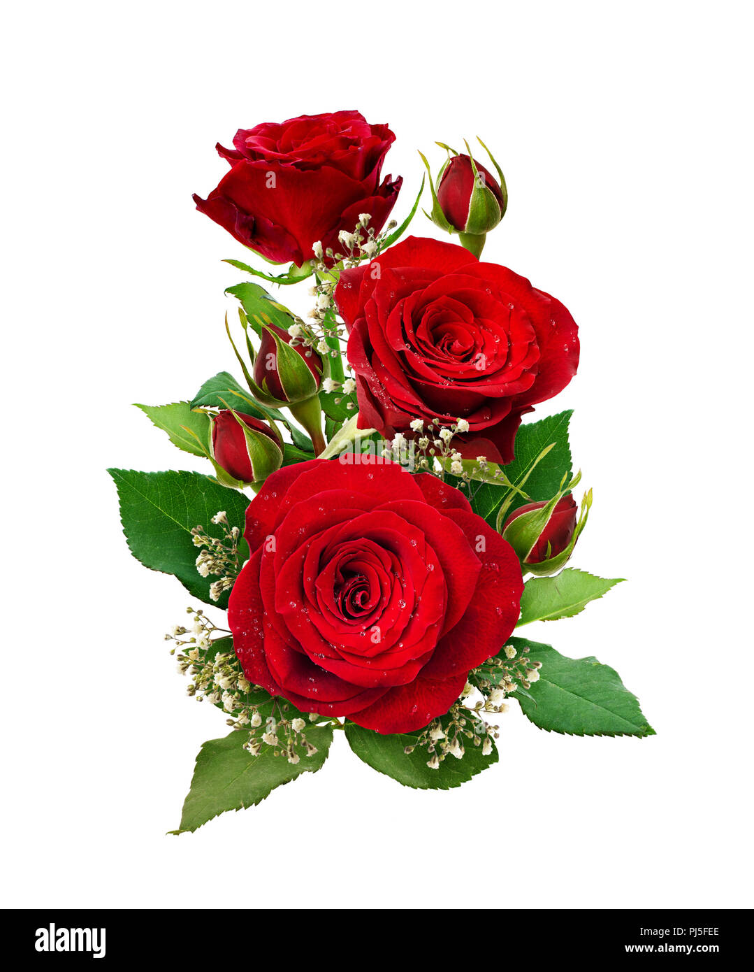 Red rose and gypsophila Cut Out Stock Images & Pictures - Alamy