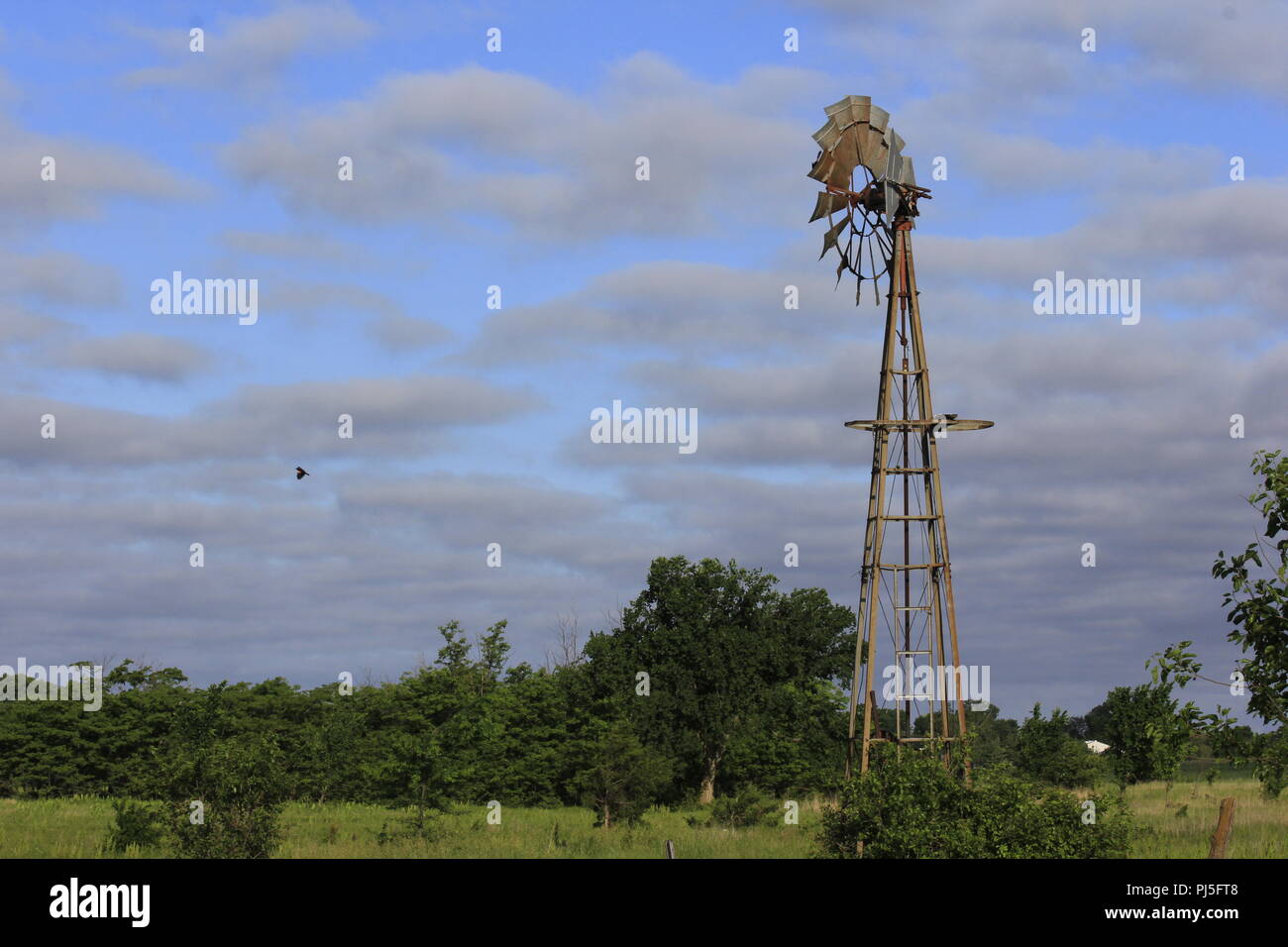 Kansas Windmill in a Pasture with green grass and blue sky with white ...