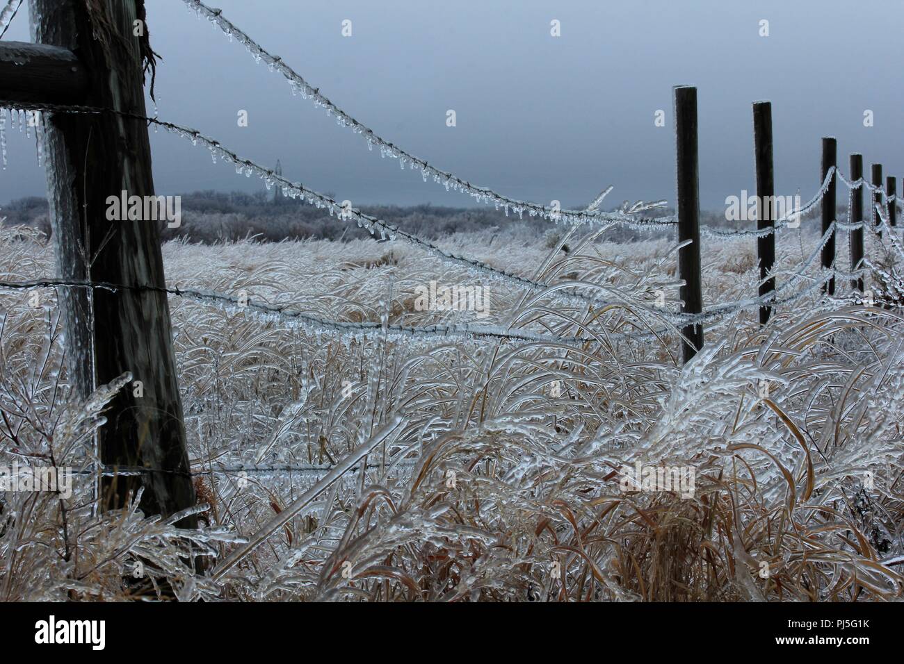 Icy fences hi-res stock photography and images - Alamy