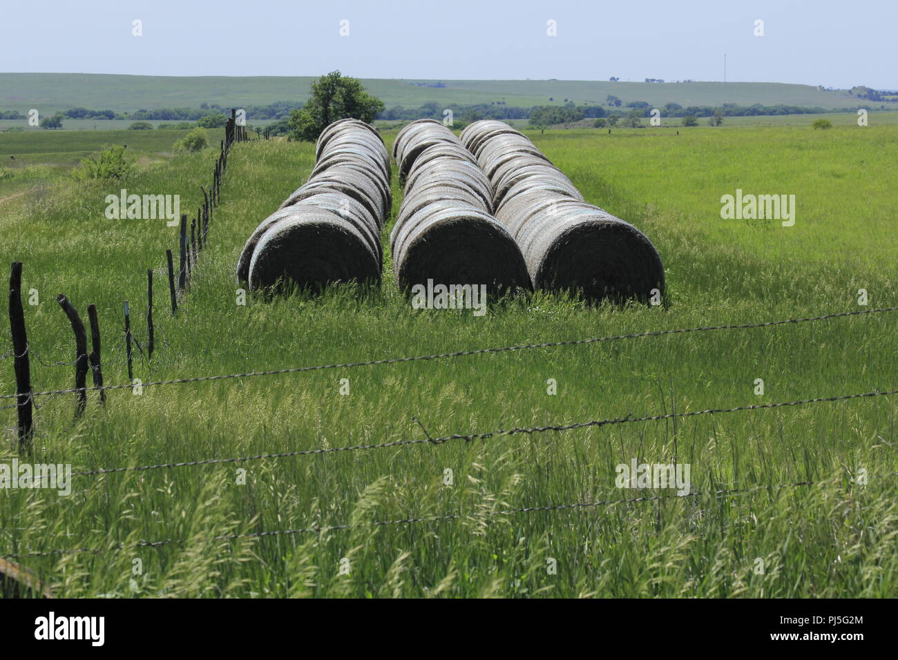 Grass hay landscape hi-res stock photography and images - Alamy