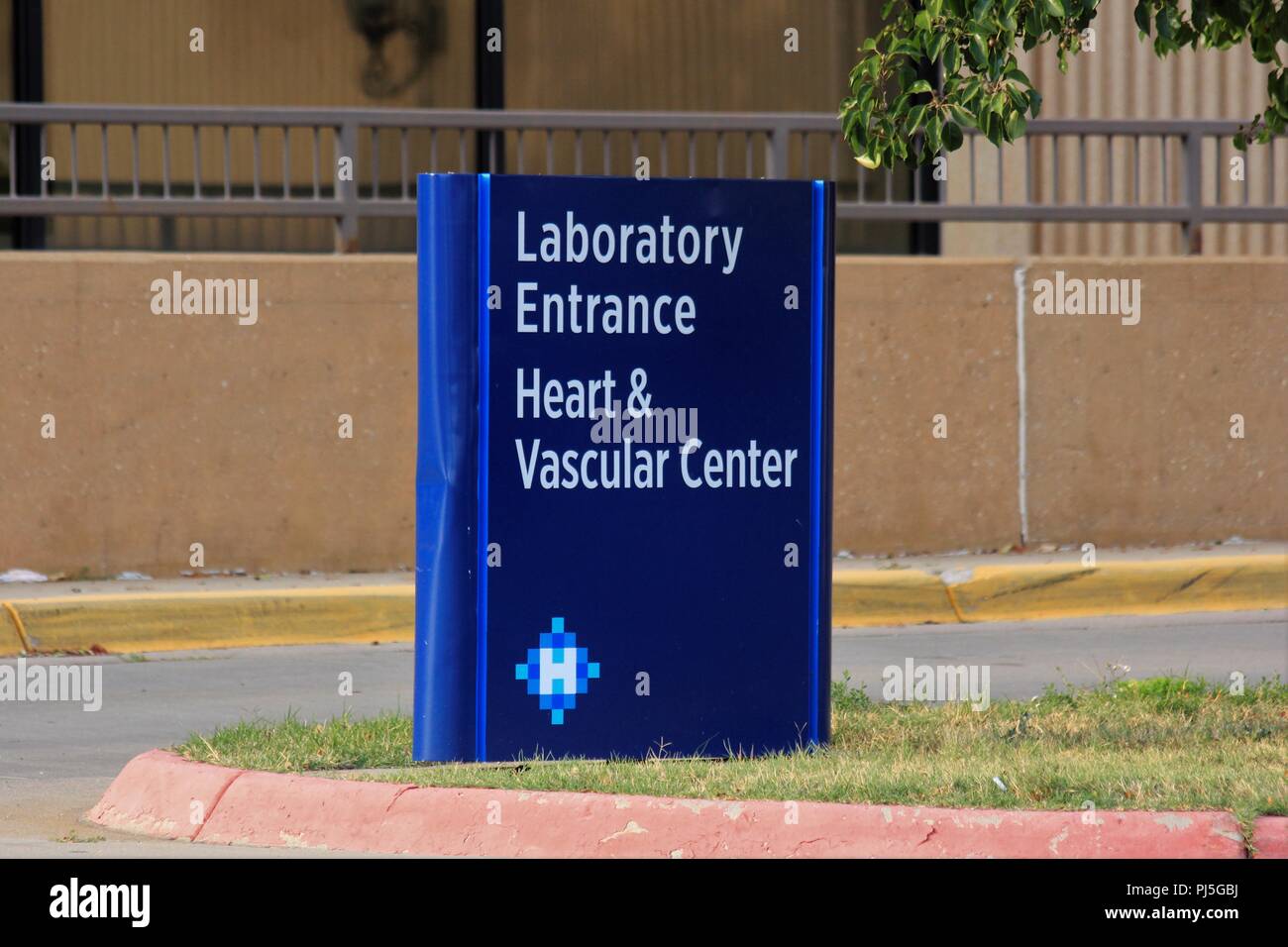 Vascular laboratory hi-res stock photography and images - Alamy