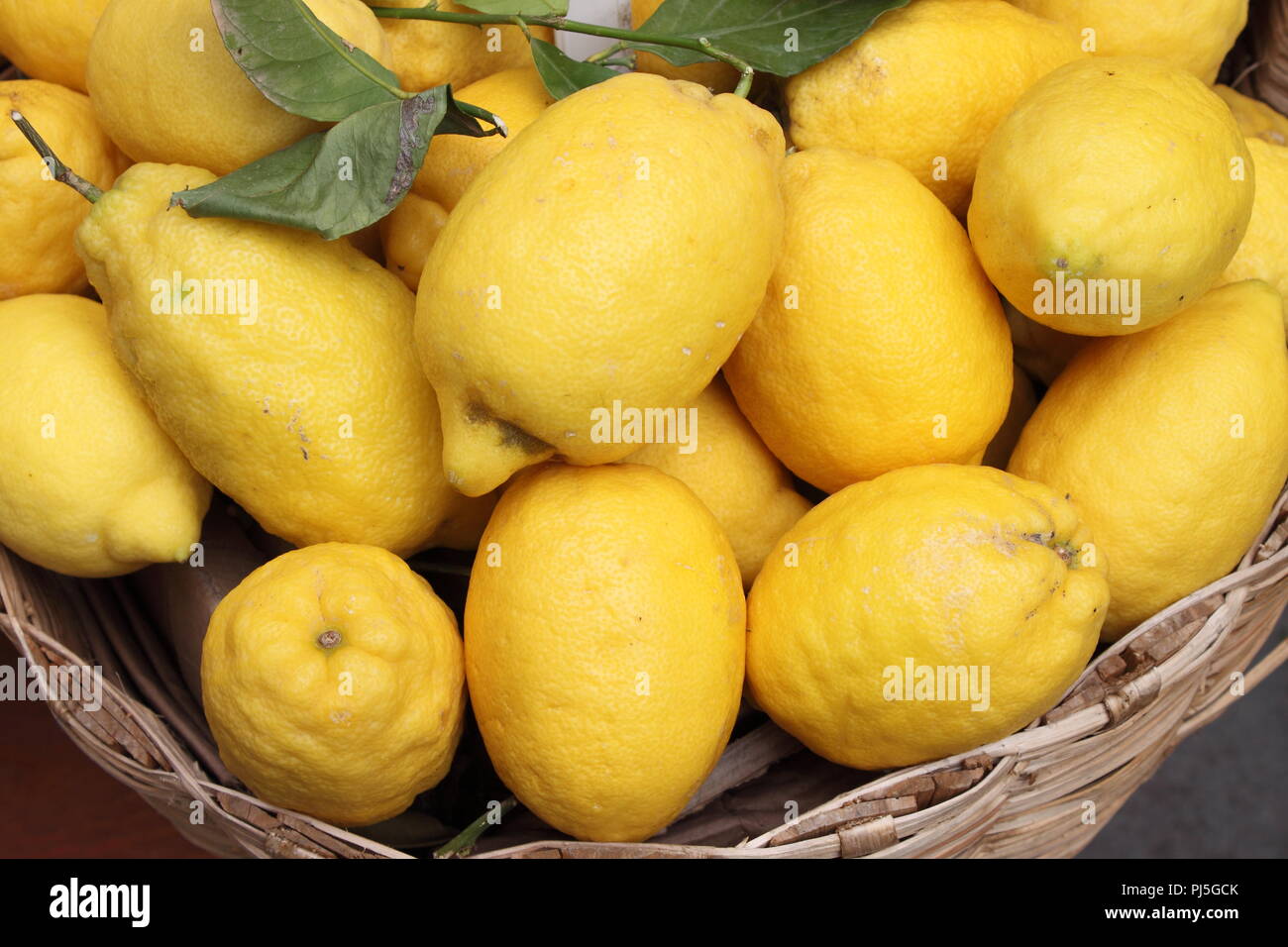 Traditional lemons in Amalfi Coast, Italy Stock Photo - Alamy