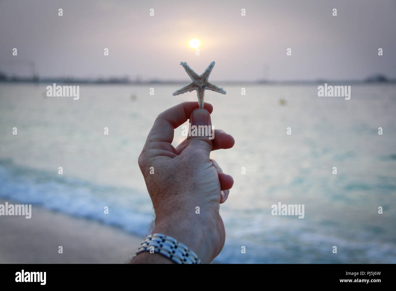 Dubai marine the waves hi-res stock photography and images - Alamy