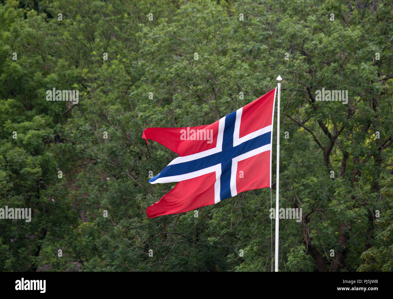 Norwegian flag with hi-res stock photography and images - Alamy