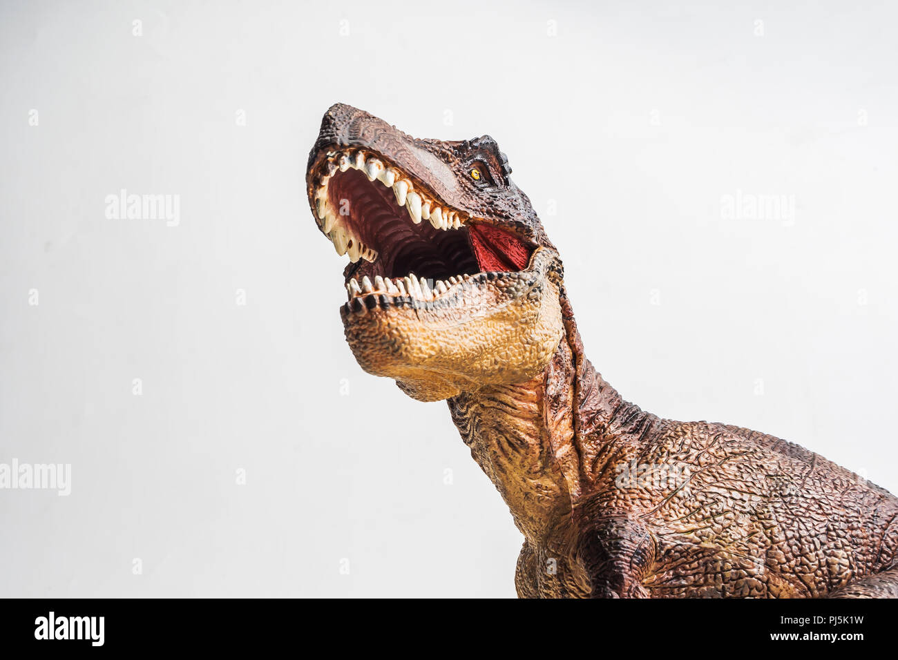 dinosaur , T-rex , Tyrannosaurus on white background Stock Photo - Alamy