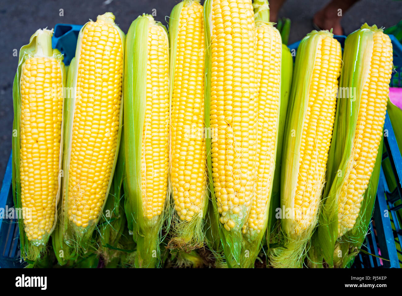 Raw corn in market Stock Photo - Alamy