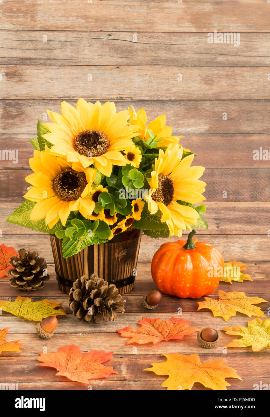 Fall Pumpkin Sunflower Wallpaper