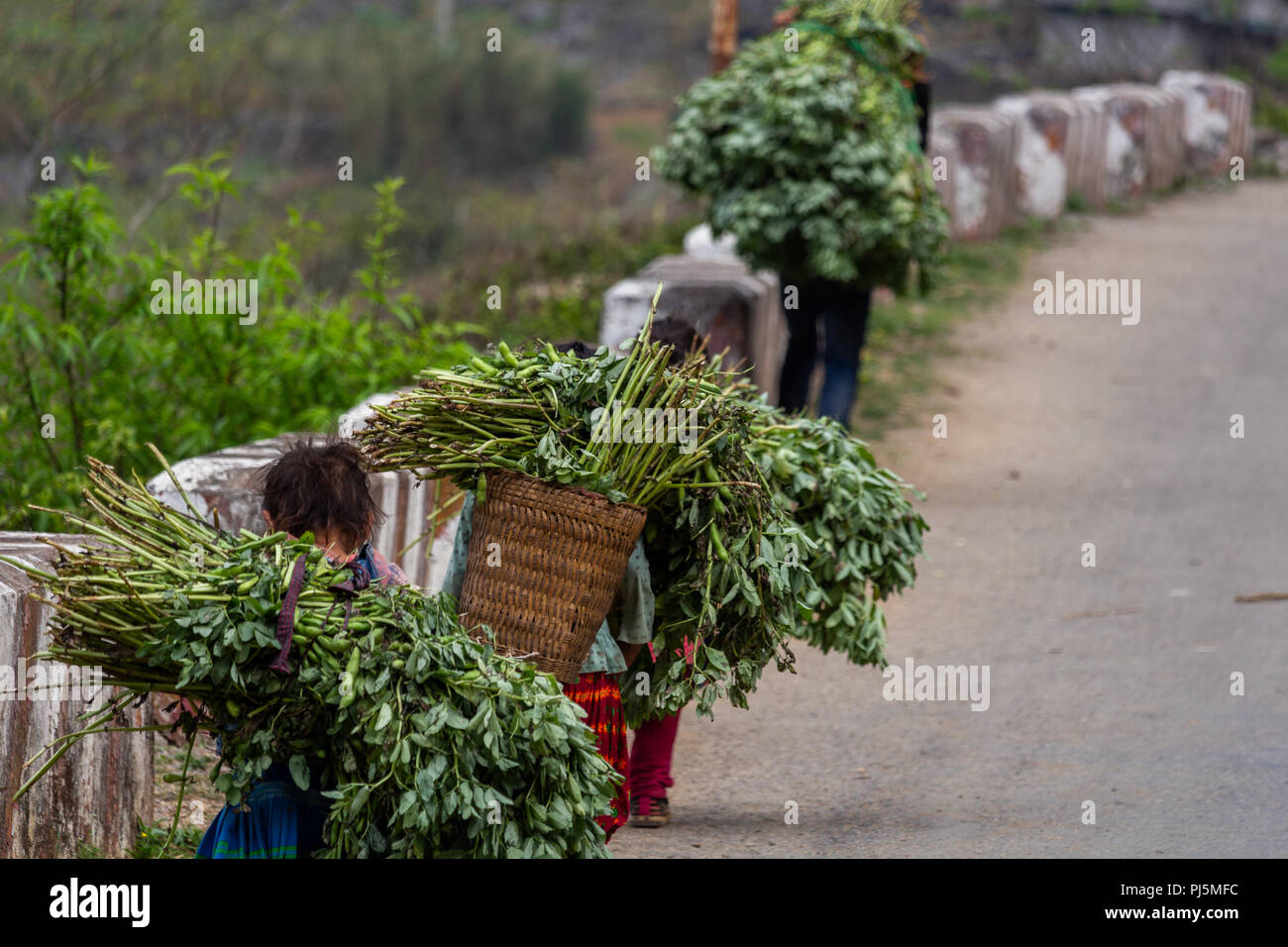 Child Labor Field High Resolution Stock Photography and Images - Alamy