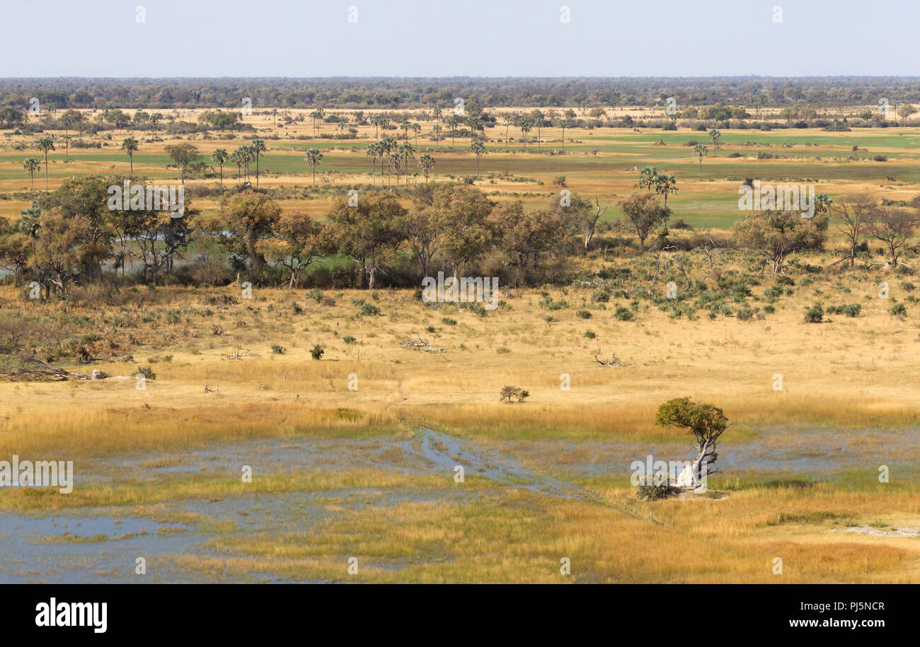 Okavango Delta aerial view, Botswana's stunning landscape Stock Photo ...