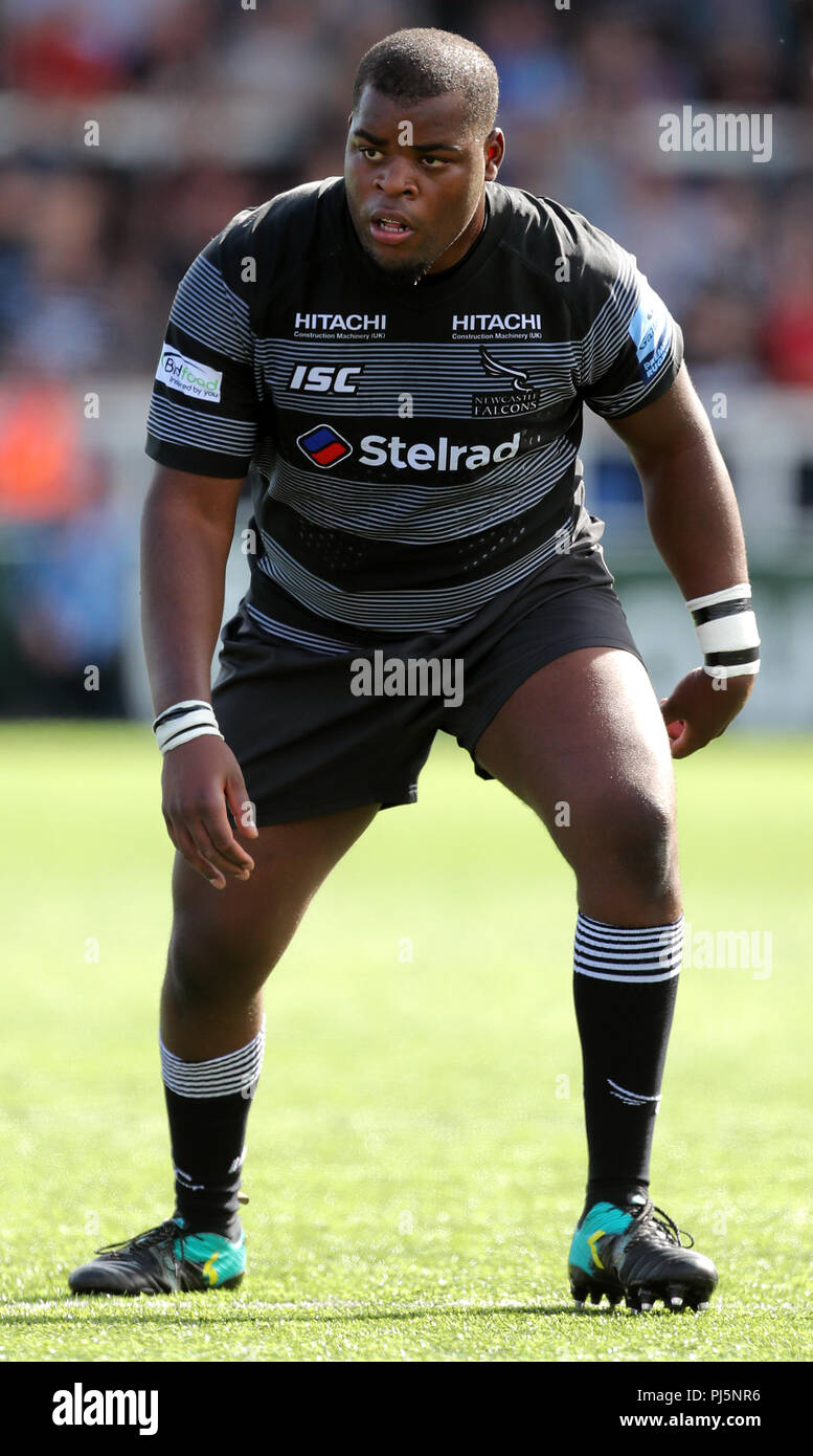 Sami mavinga hi-res stock photography and images - Alamy