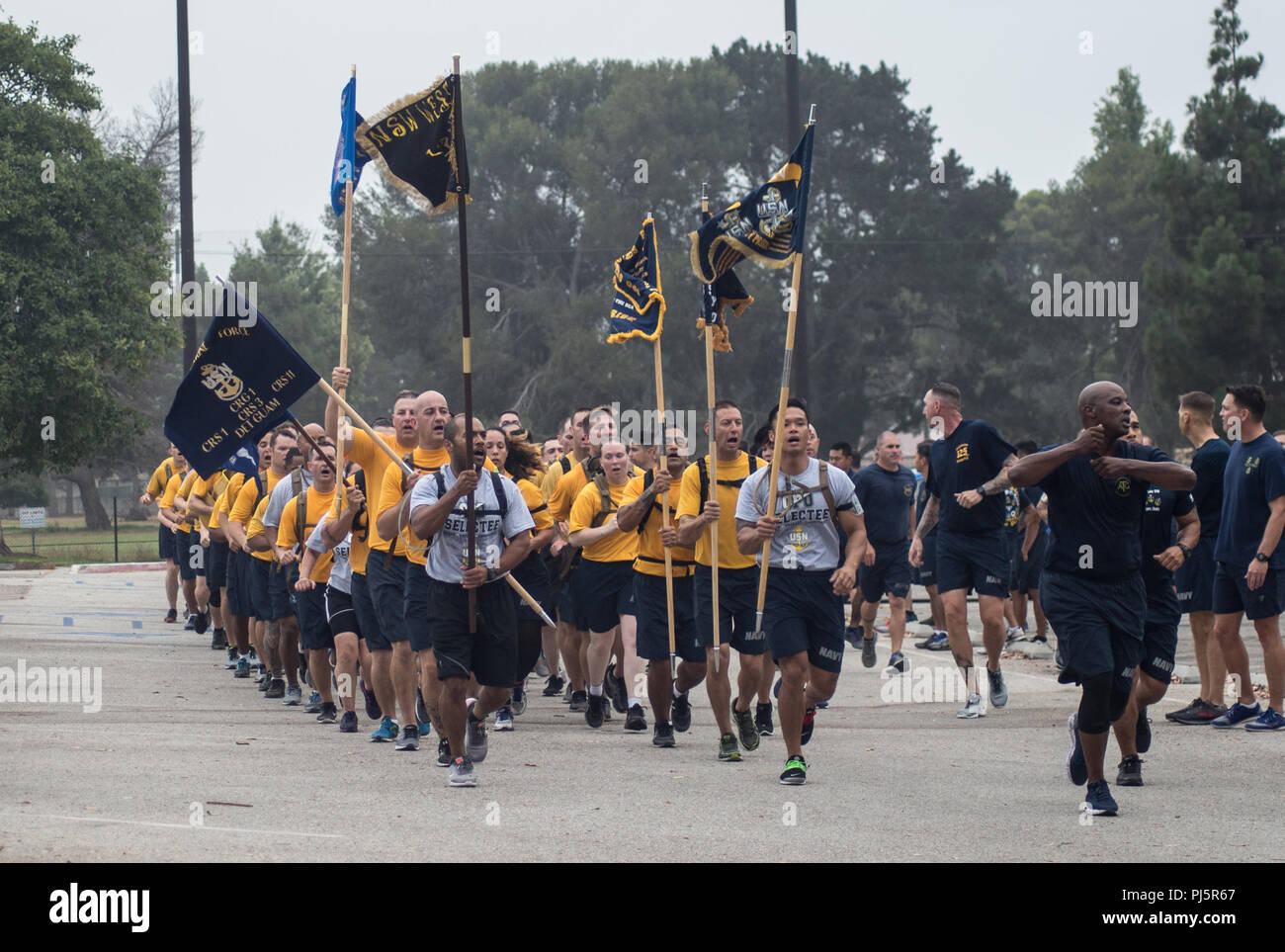 Cpo initiation hi-res stock photography and images - Alamy