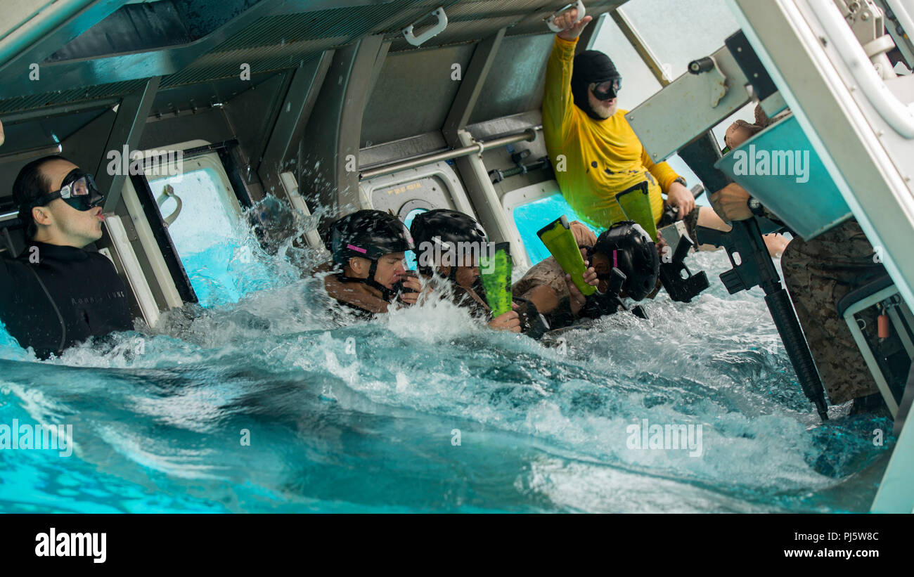 U.S. Marines assigned to 3d Battalion, 3d Marine Regiment, submerge in ...