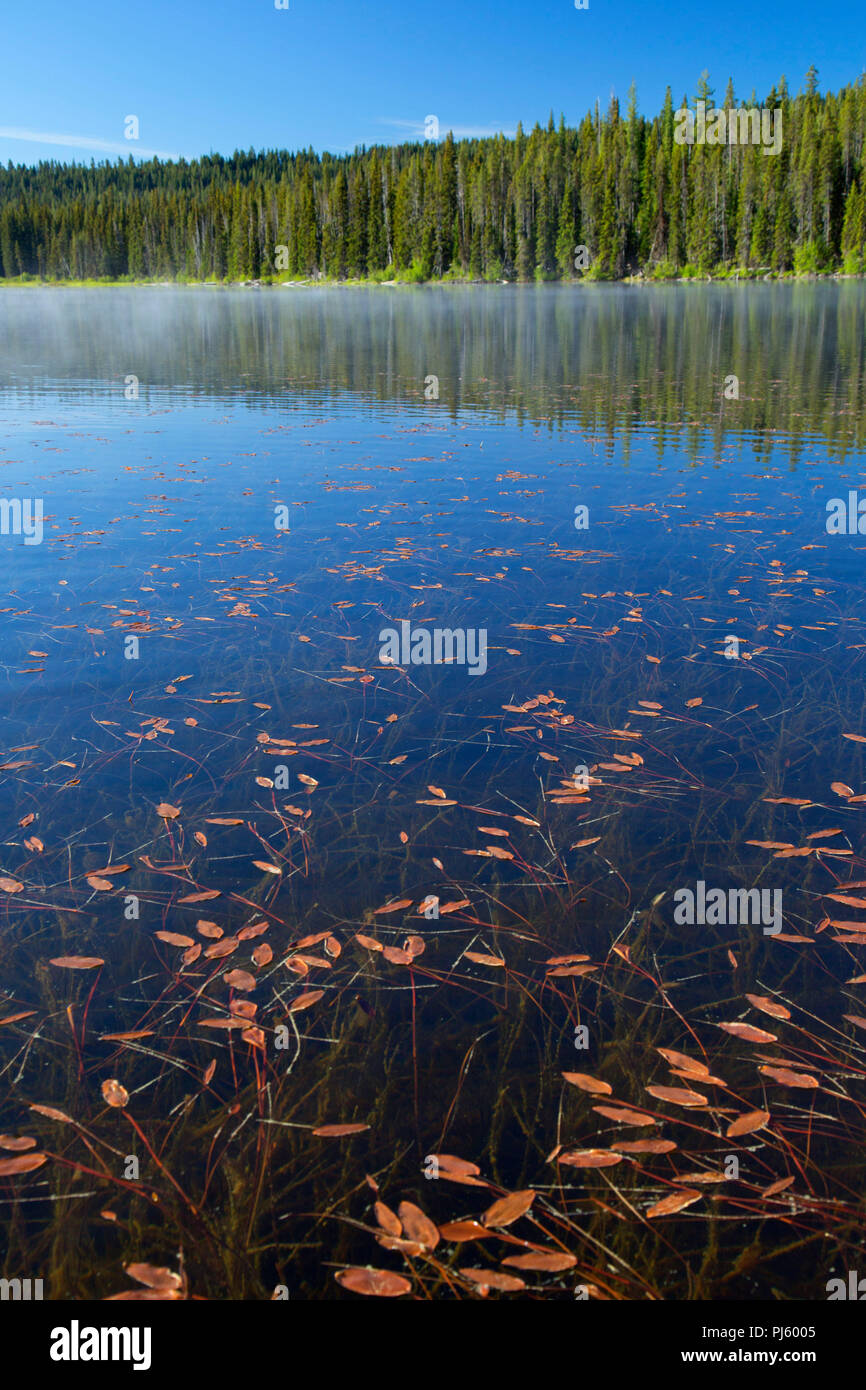 Little Cultus Lake, Deschutes National Forest, Cascade Lakes National ...