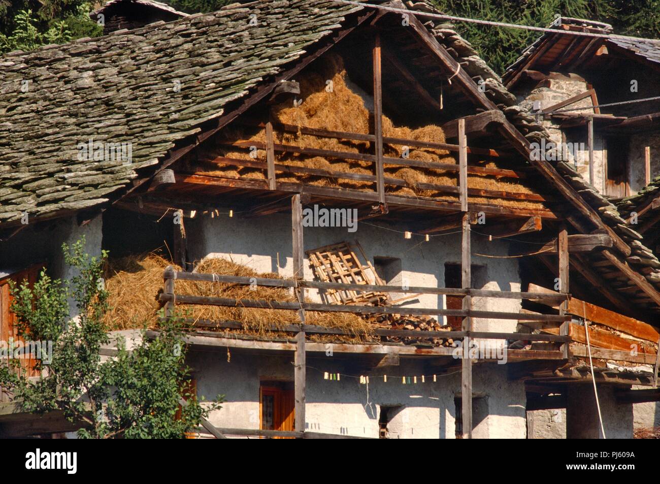 Gressoney Valley (Aosta Valley, Italy), typical Walser house Stock ...