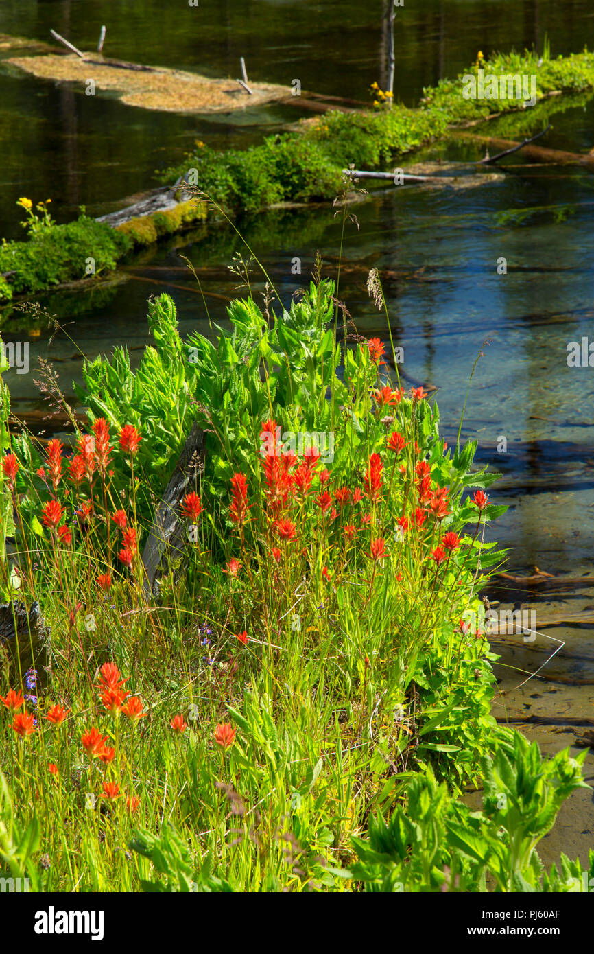 Indian bend hi-res stock photography and images - Alamy