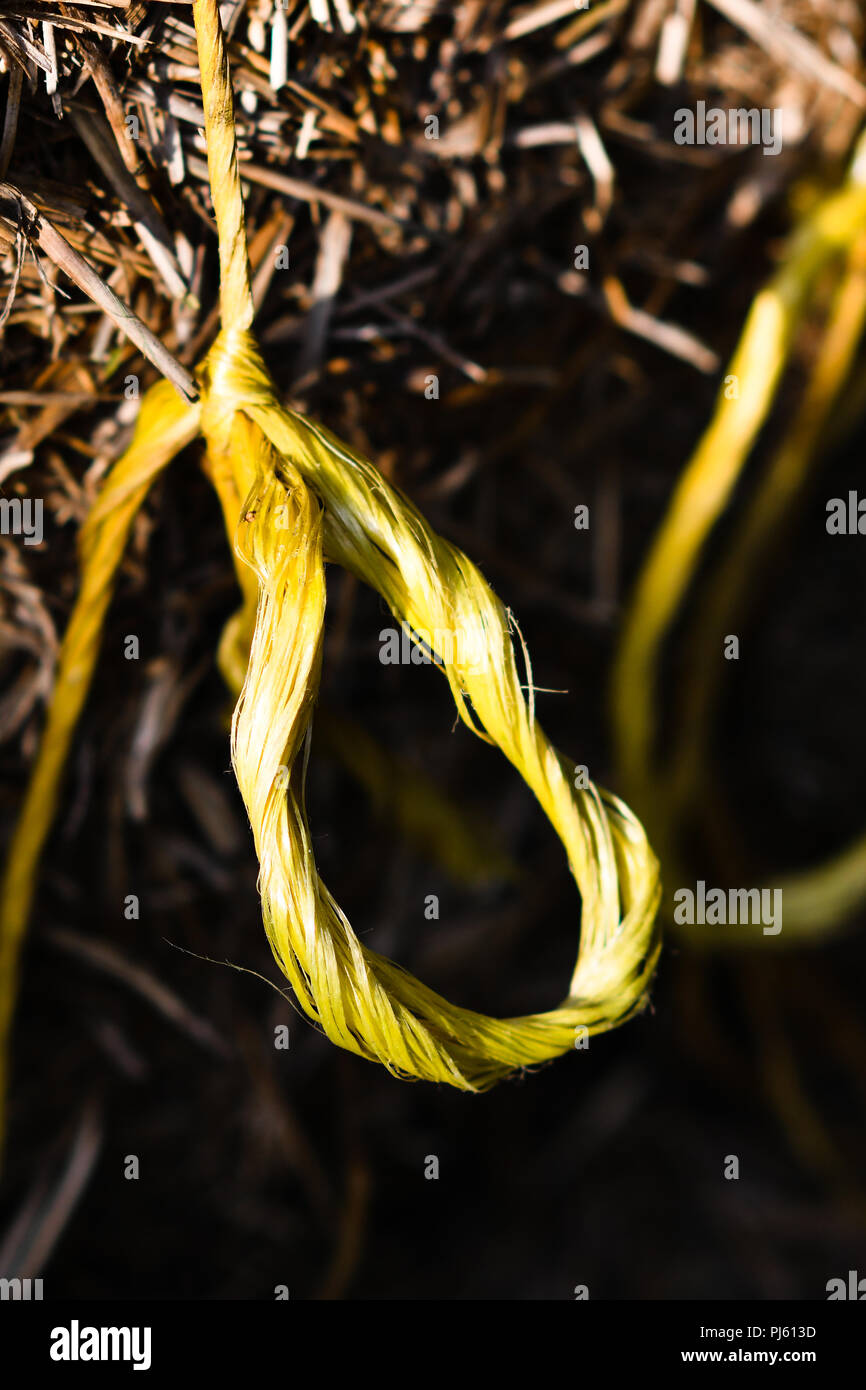 yellow nylon rope tying knot Stock Photo - Alamy