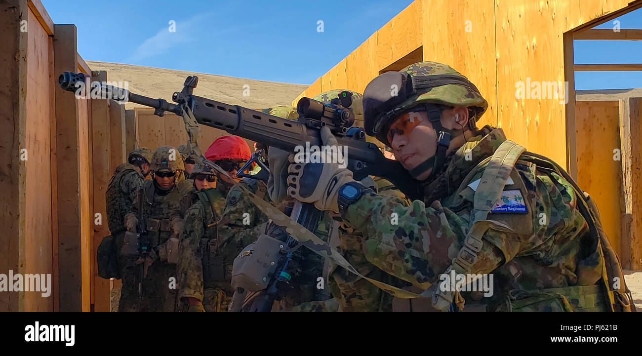 Modern Japanese Soldier