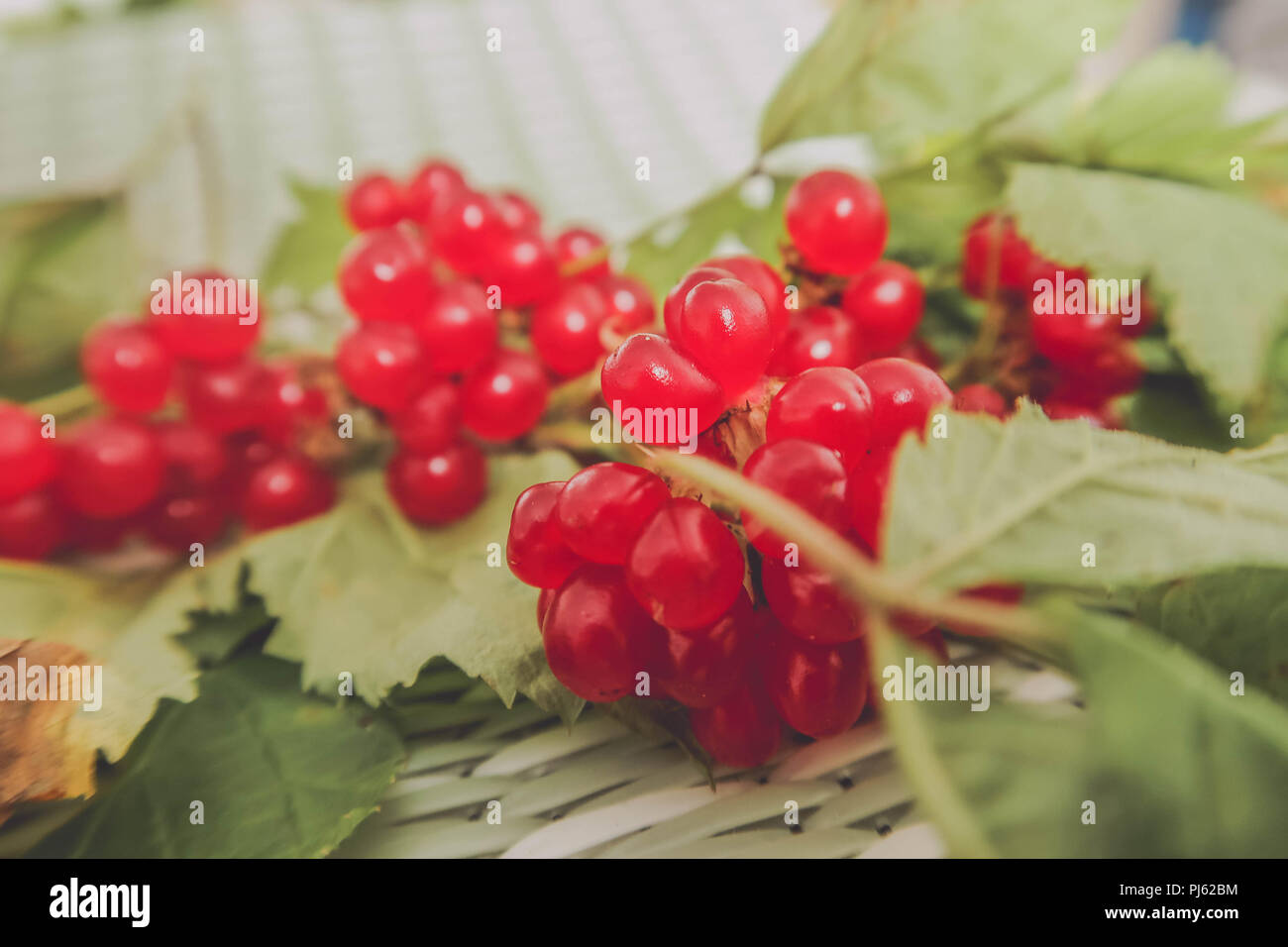 stoneberry red berries with leaves. healthy food. Healthy sweets Stock ...