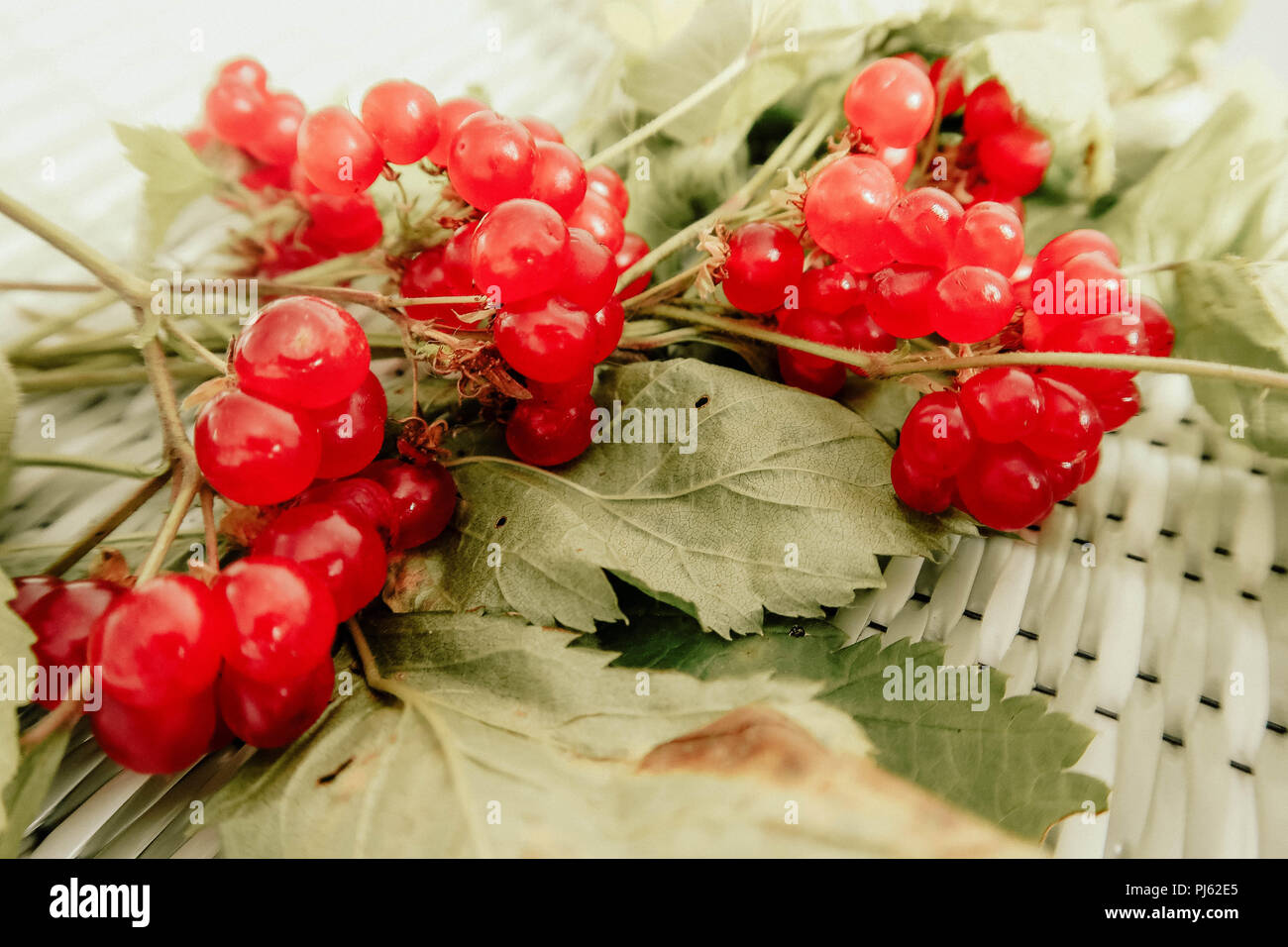 stoneberry red berries with leaves. healthy food. Healthy sweets Stock ...