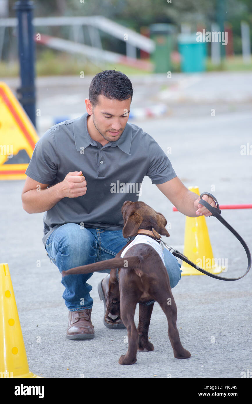 Man training dog Stock Photo - Alamy