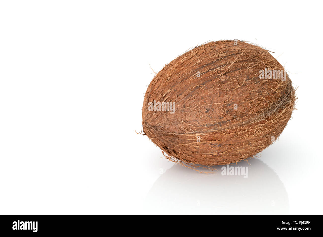 Fresh coconut on white background. Close up Stock Photo - Alamy