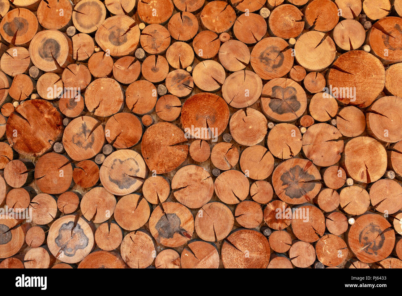 Background from round pieces of wood in a natural color Stock Photo - Alamy