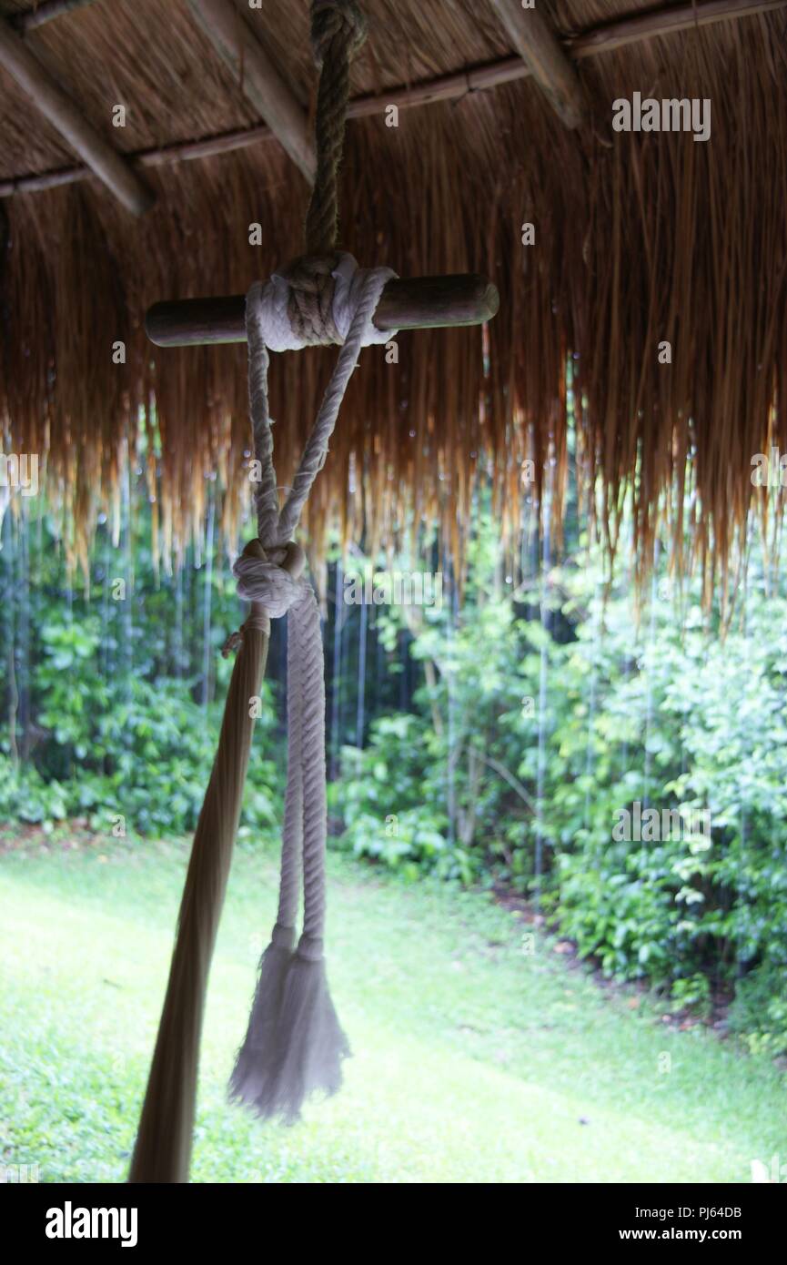 Hammock rain forest hi-res stock photography and images - Alamy