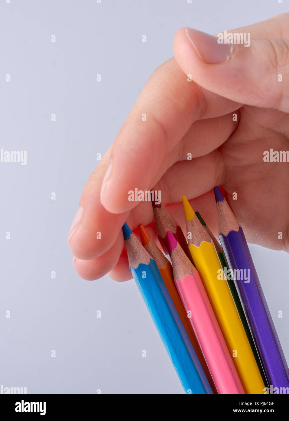 Hand holding color Pencils placed on a white background Stock Photo - Alamy