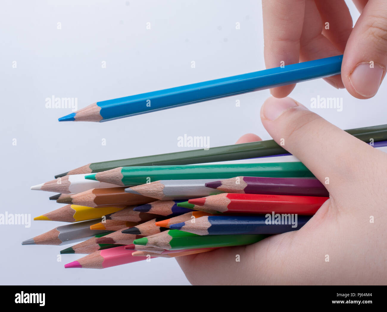 Hand holding color Pencils placed on a white background Stock Photo - Alamy