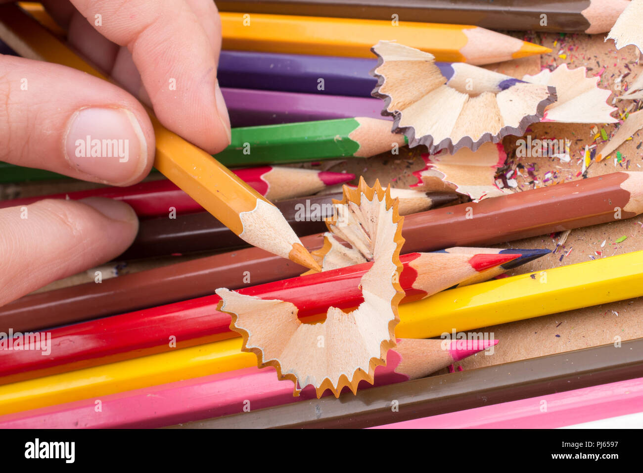Hand holding Color Pencil over a notebook with pencil shavings Stock ...