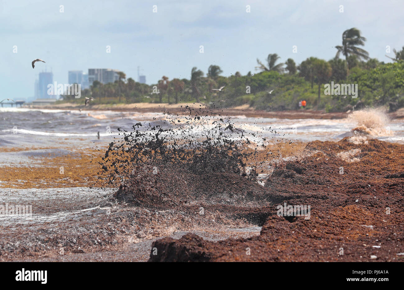 Dr von d mizell eula johnson state park hi-res stock photography and ...